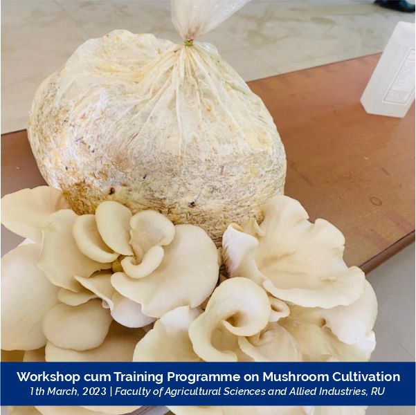 oyster-mushroom-cultivation-workshop-cum-training-programme-2023