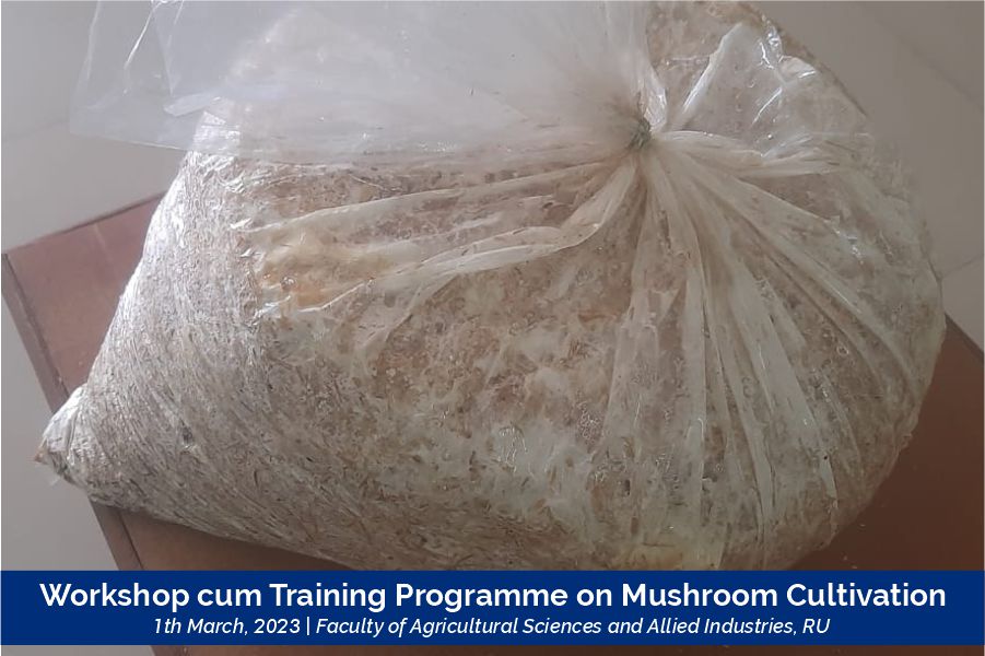 oyster-mushroom-cultivation-workshop-cum-training-programme-2023